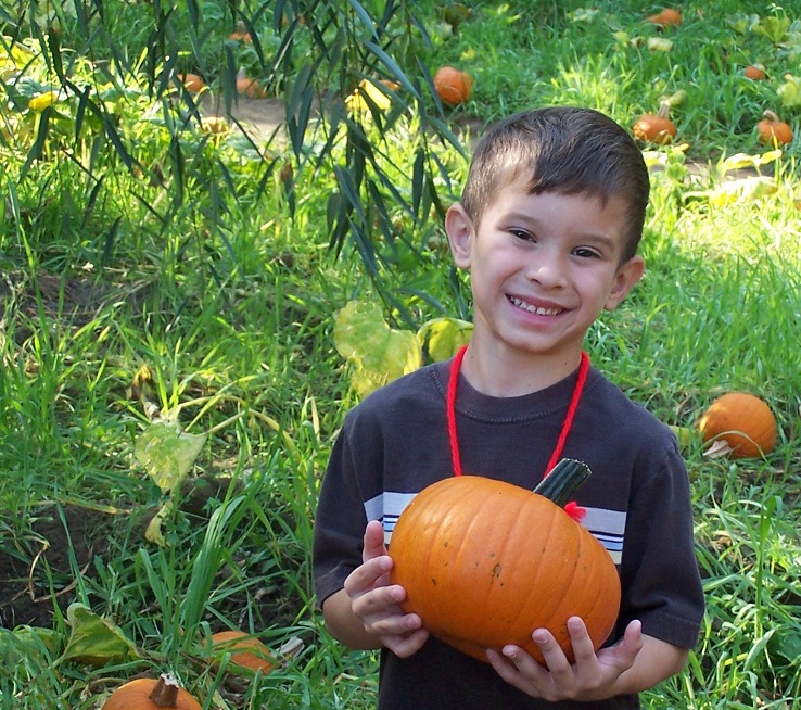 Pumpkin Grove – Welcome to Billy Bob's PUMPKIN GROVE!